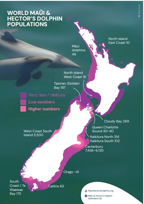 Christine Rose’s Fight to Save Māui and Hector’s Dolphins